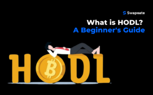 What is HODL? A Beginner's Guide to the Hodl Strategy in Crypto ...